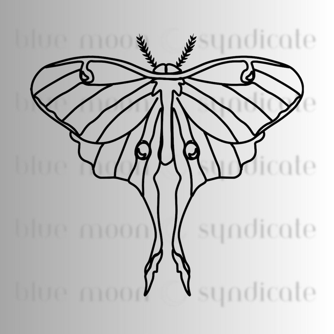 Luna Moth SVG / Transparent PNG / Laser Cut File Digital Download Hand ...