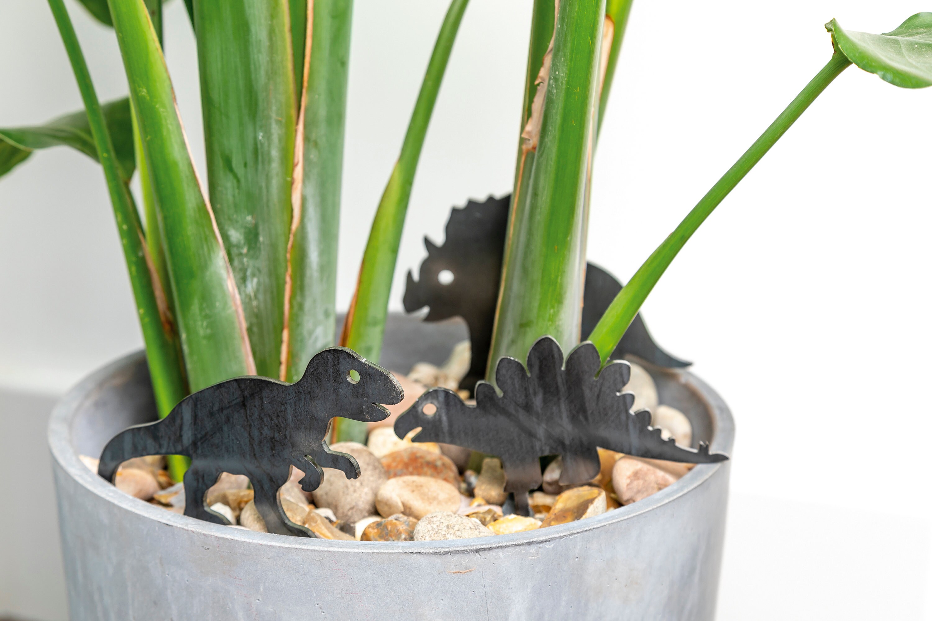 Laser Cut Cute Dinosaur T-rex Plant Stake - Etsy UK