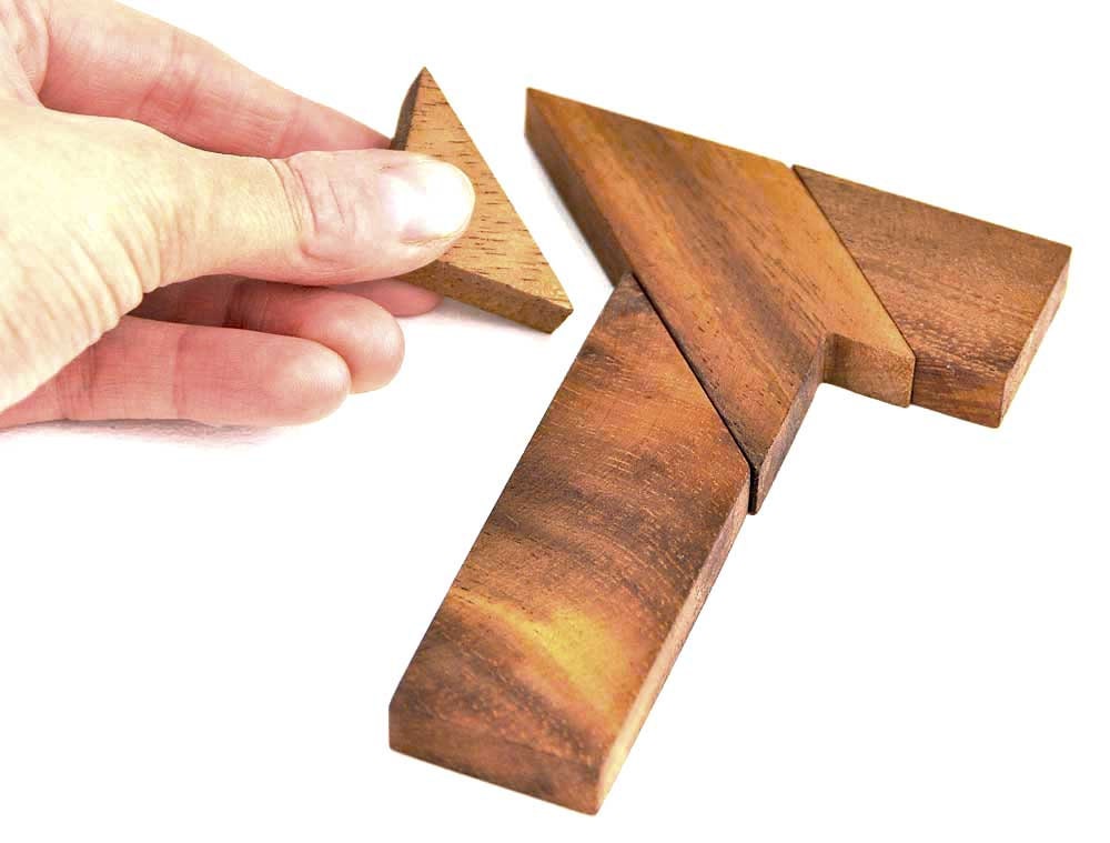 T Puzzle 100 Puzzles in 1 Wooden Brain Teaser Mind Puzzle Difficulty 4/ ...