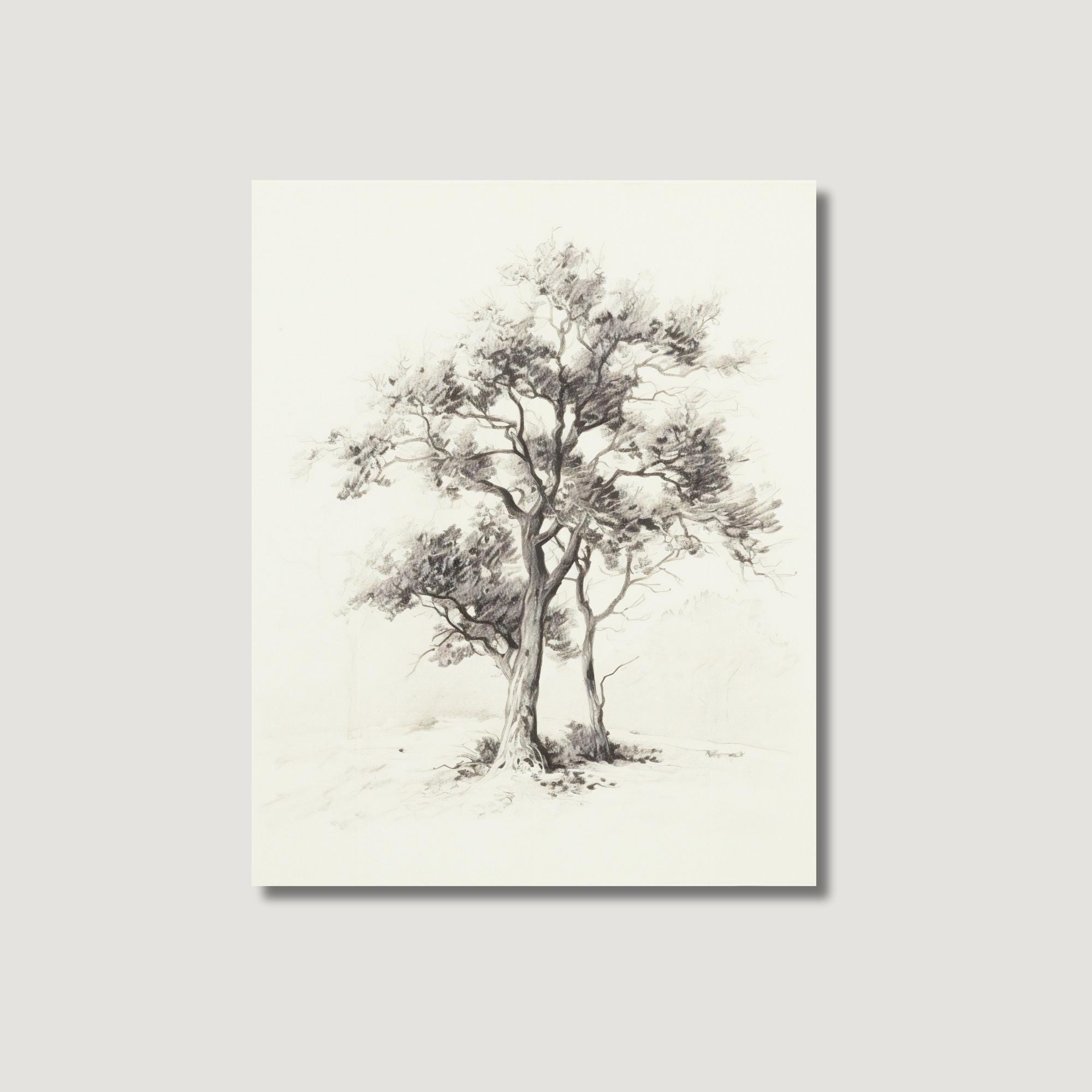 Minimalist Pencil Sketch Art Print – Hand-drawn Tree, Monochrome Nature ...