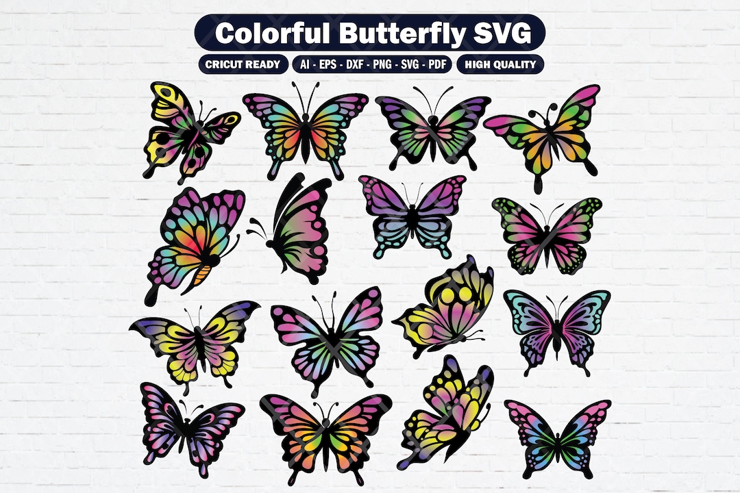 Set of Colorful Butterfly Svg Png, Butterfly Pattern Svg Clipart ...