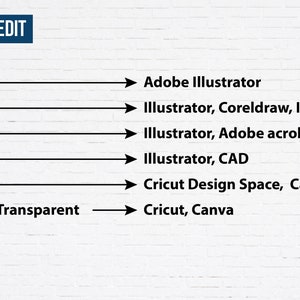 Set of Pest Control Svg, Pest Control Services, Pest Control Silhouette ...