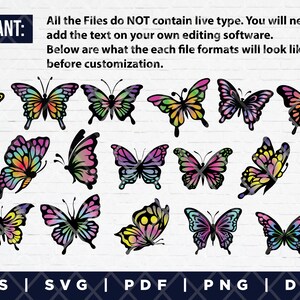 Set of Colorful Butterfly Svg Png, Butterfly Pattern Svg Clipart ...