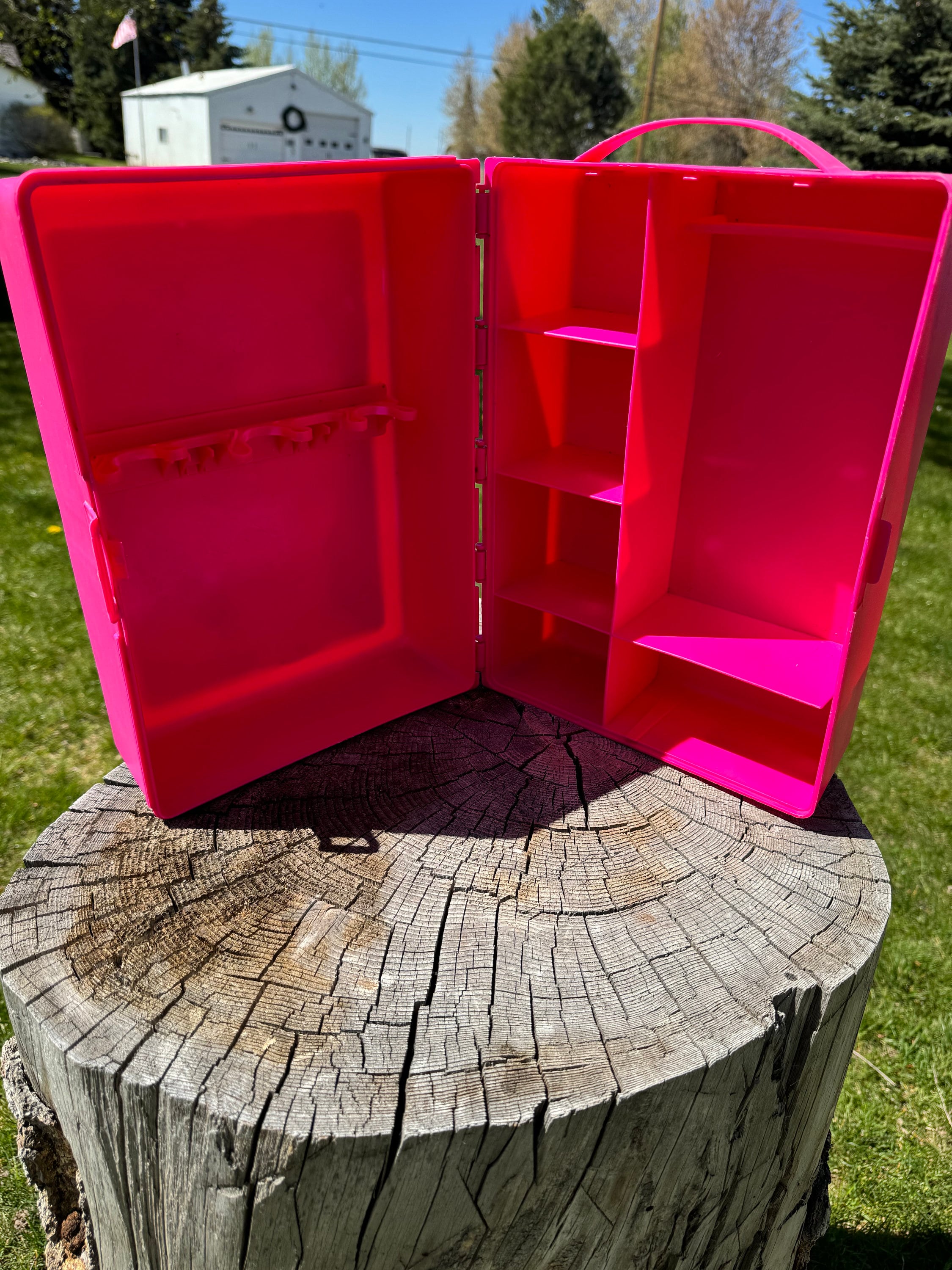 Vintage 1998 Pink Barbie Closet Case Carrying Set/ Collectable Barbie ...