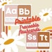 ABC Printable Flash Cards, Tracing Letters, Boho Printable Flash Cards ...