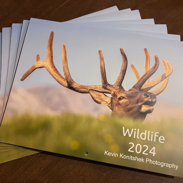2024 Wildlife Planner - Etsy