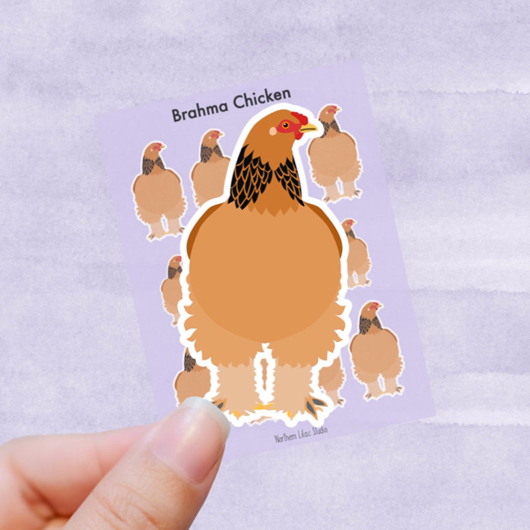 Brahma Chicken Vinyl Sticker Sheet - Etsy