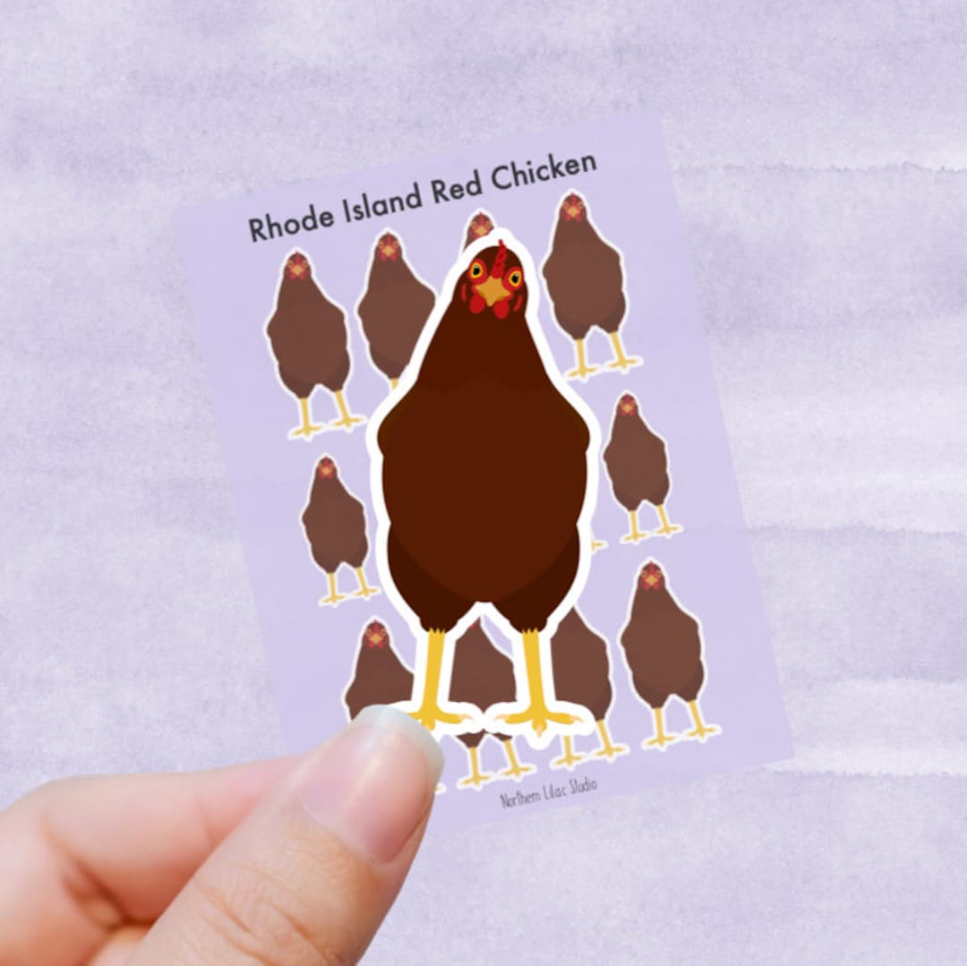 Rhode Island Red Chicken Vinyl Sticker Sheet - Etsy