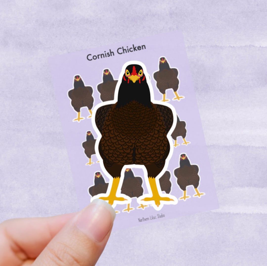 Cornish Chicken Vinyl Sticker Sheet - Etsy