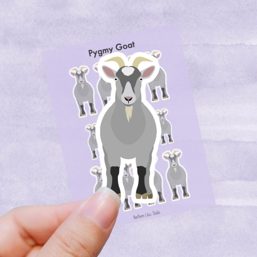 Pygmy Goat Vinyl Sticker Sheet - Etsy