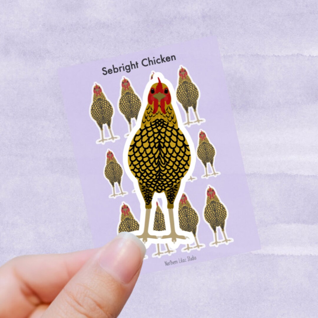 Sebright Chicken Vinyl Sticker Sheet - Etsy