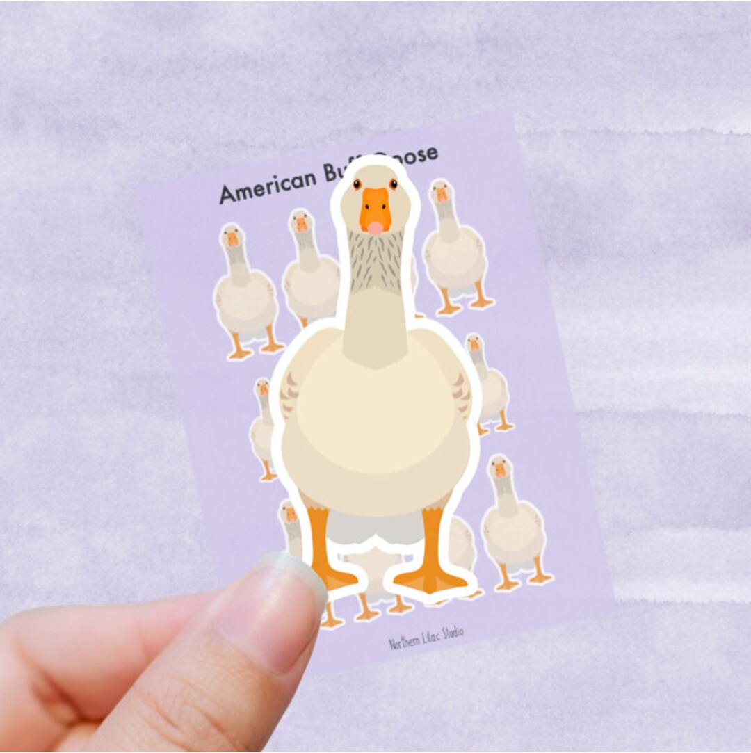 American Buff Goose Vinyl Sticker Sheet - Etsy