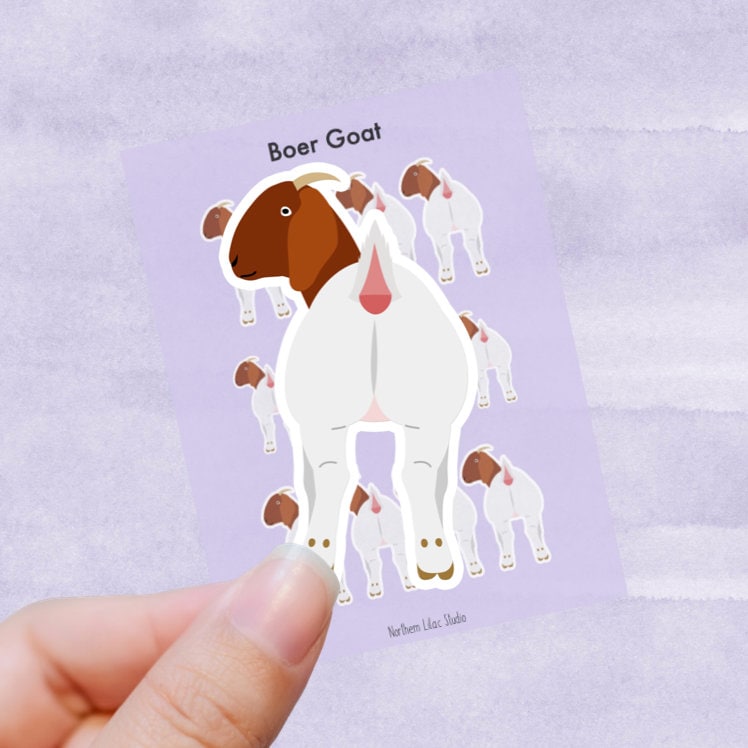Boer Goat Vinyl Sticker Sheet - Etsy