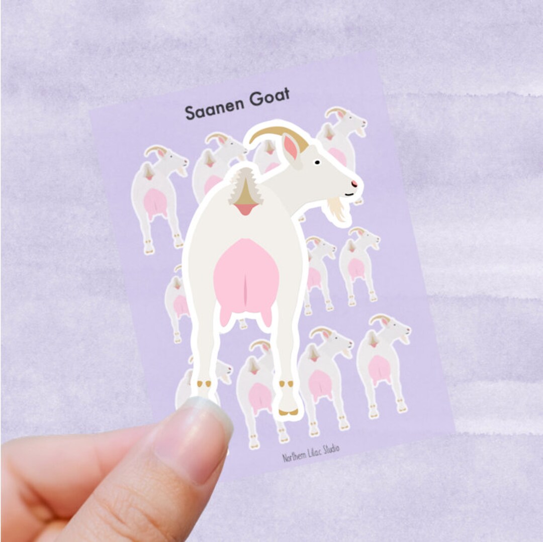 Saanen Goat Vinyl Sticker Sheet - Etsy