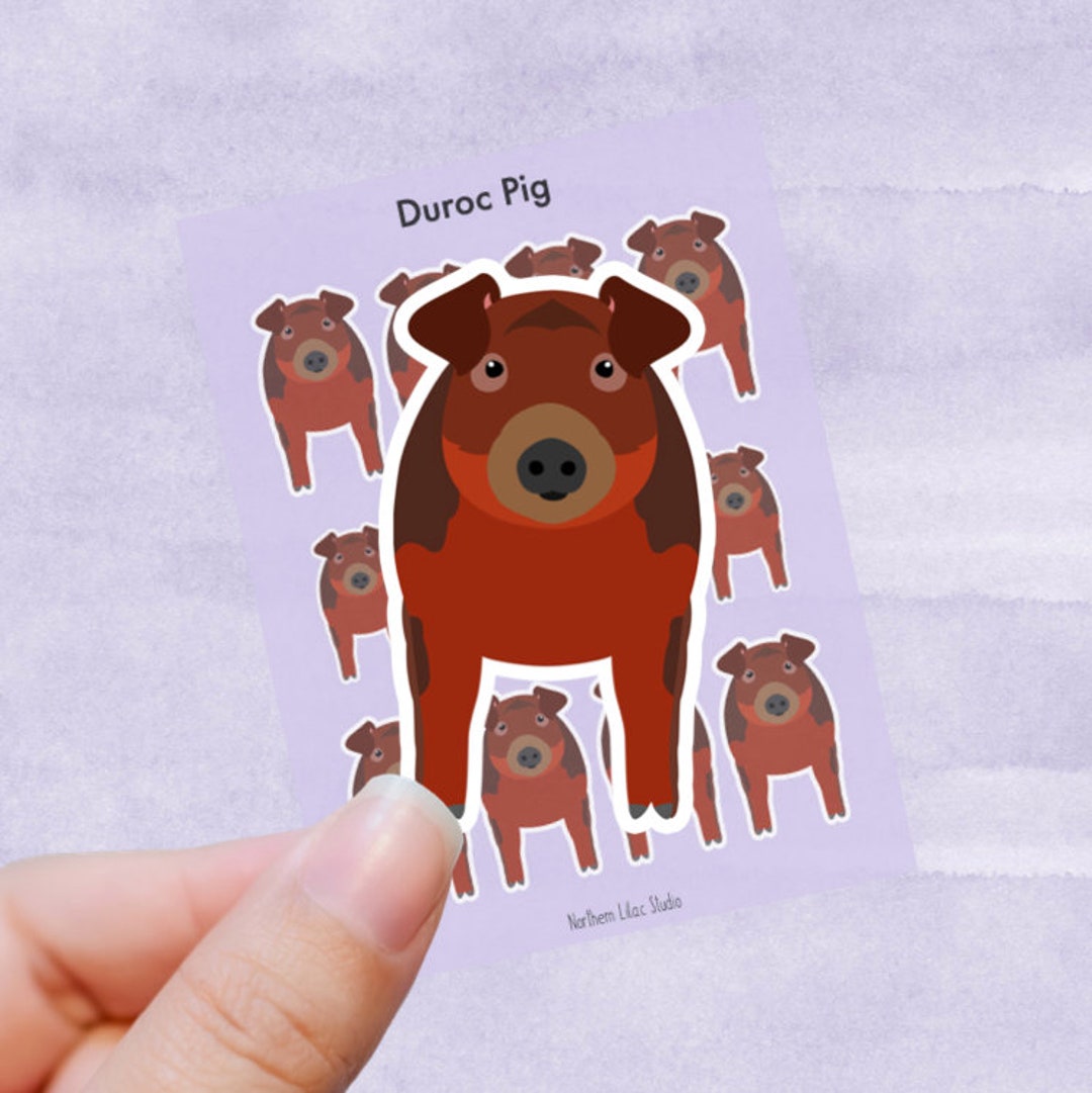 Duroc Pig Vinyl Sticker Sheet - Etsy