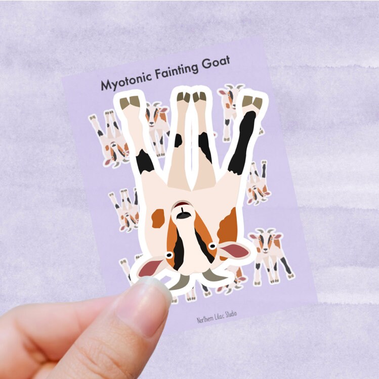 Myotonic Fainting Goat Vinyl Sticker Sheet - Etsy