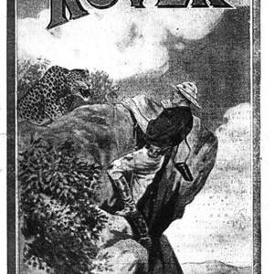 The Rover Comics Vintage Uk Boy Comics 391 Issues Golden Age Digital ...