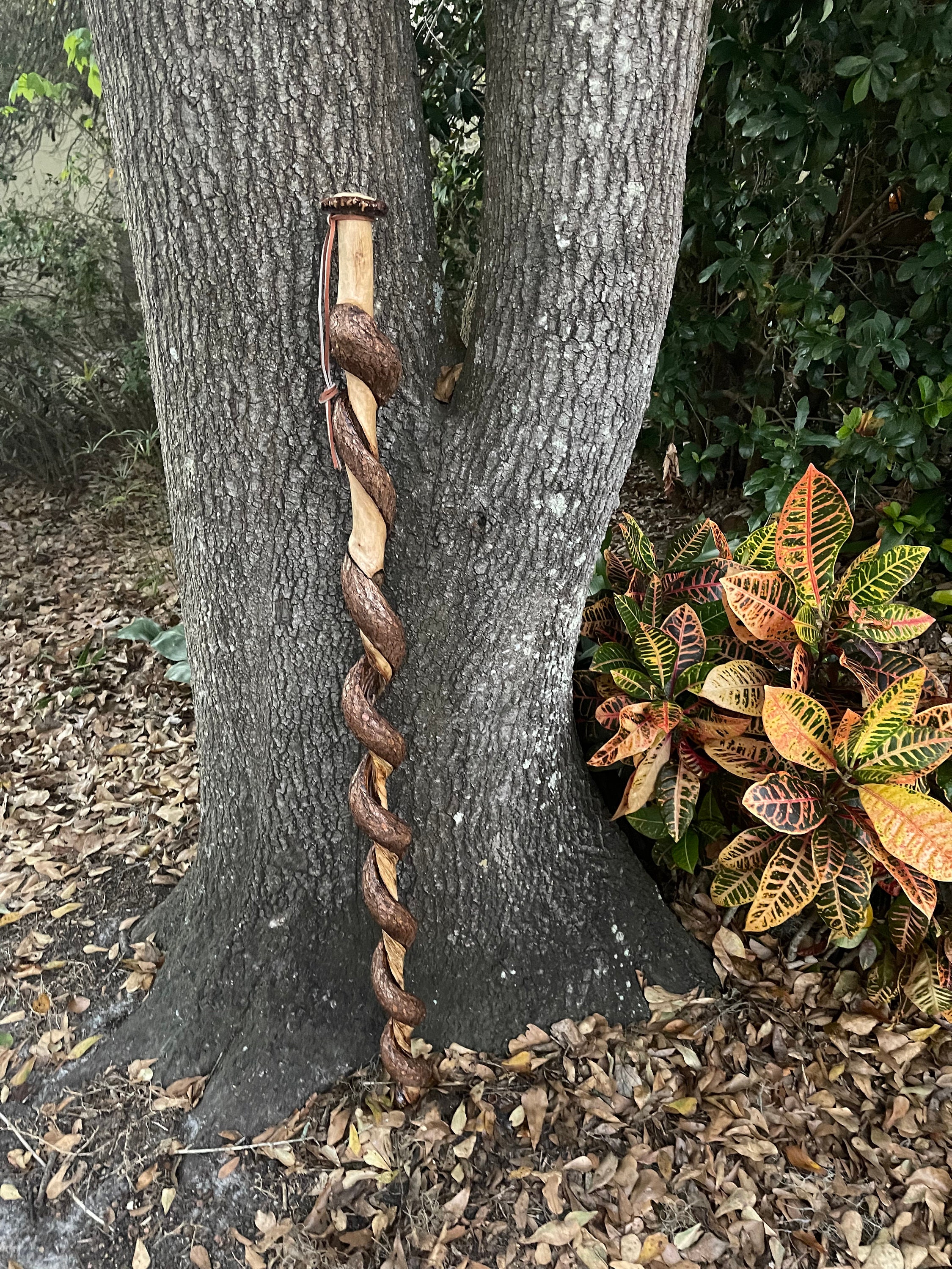 48.5” Super Twist Staff With Red Deer Rosette - Etsy