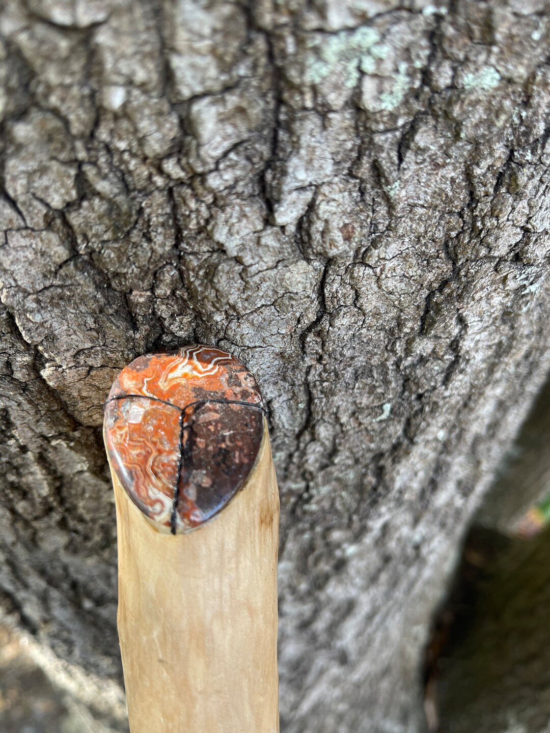59.25”tall Straight Solid Sweetgum Wood With Contrasting Natural Bark ...