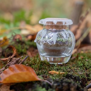 Sleep Well Spell Jar - Etsy