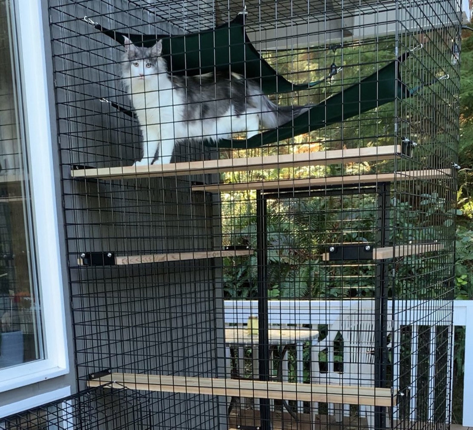My Own Den Habitat Haven Catio Enclosure standard & Petit - Etsy UK