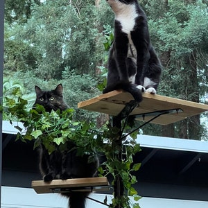 Purrfect Perch Outdoor Cat Tree - Etsy