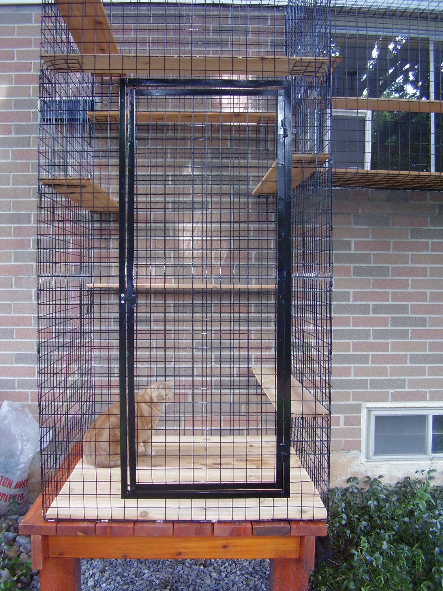 A Room With A View Catio Enclosure by Habitat Haven (multiple Sizes) - Etsy