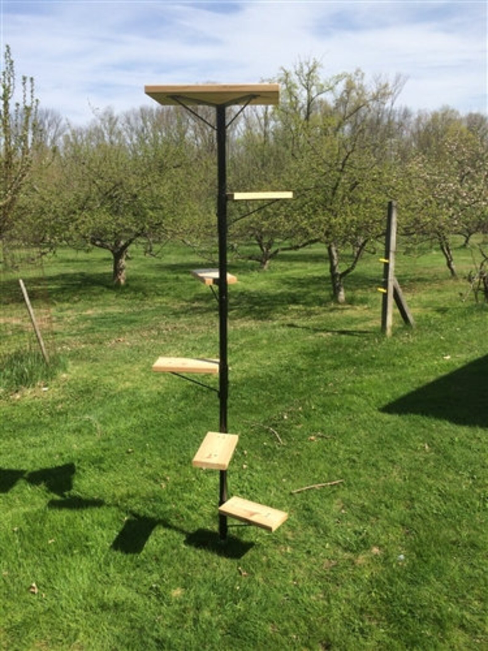 Purrfect Perch Outdoor Cat Tree - Etsy