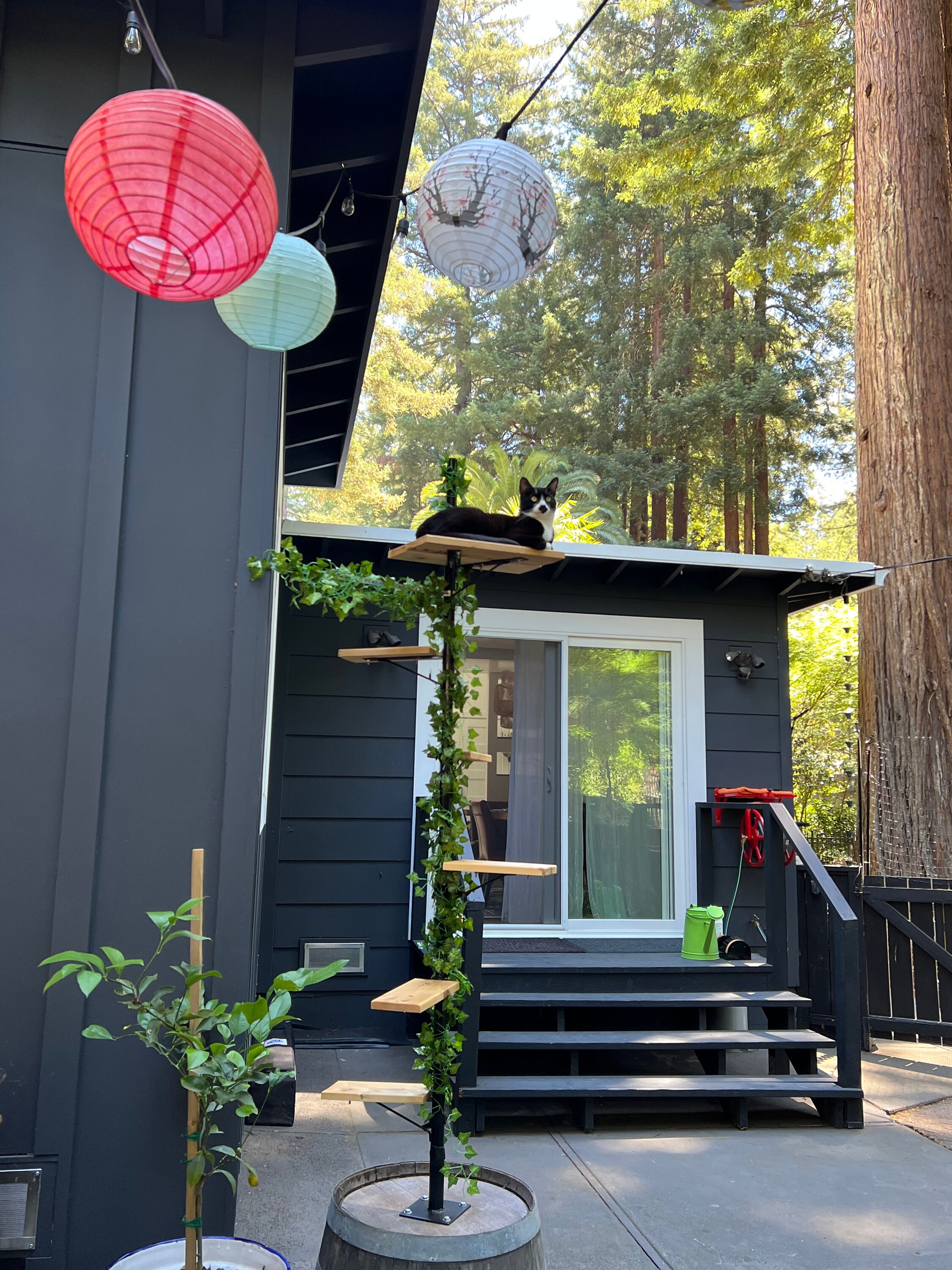 Purrfect Perch Outdoor Cat Tree - Etsy