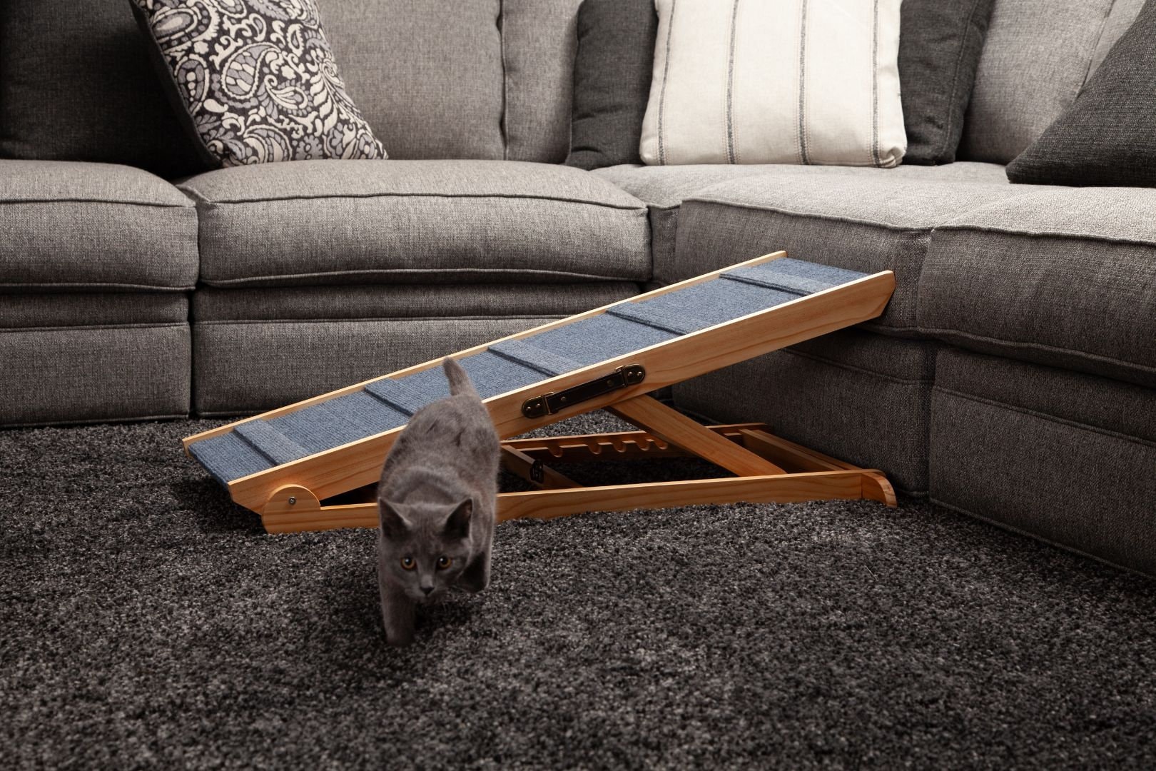 Indoor Pet Ramp - Etsy