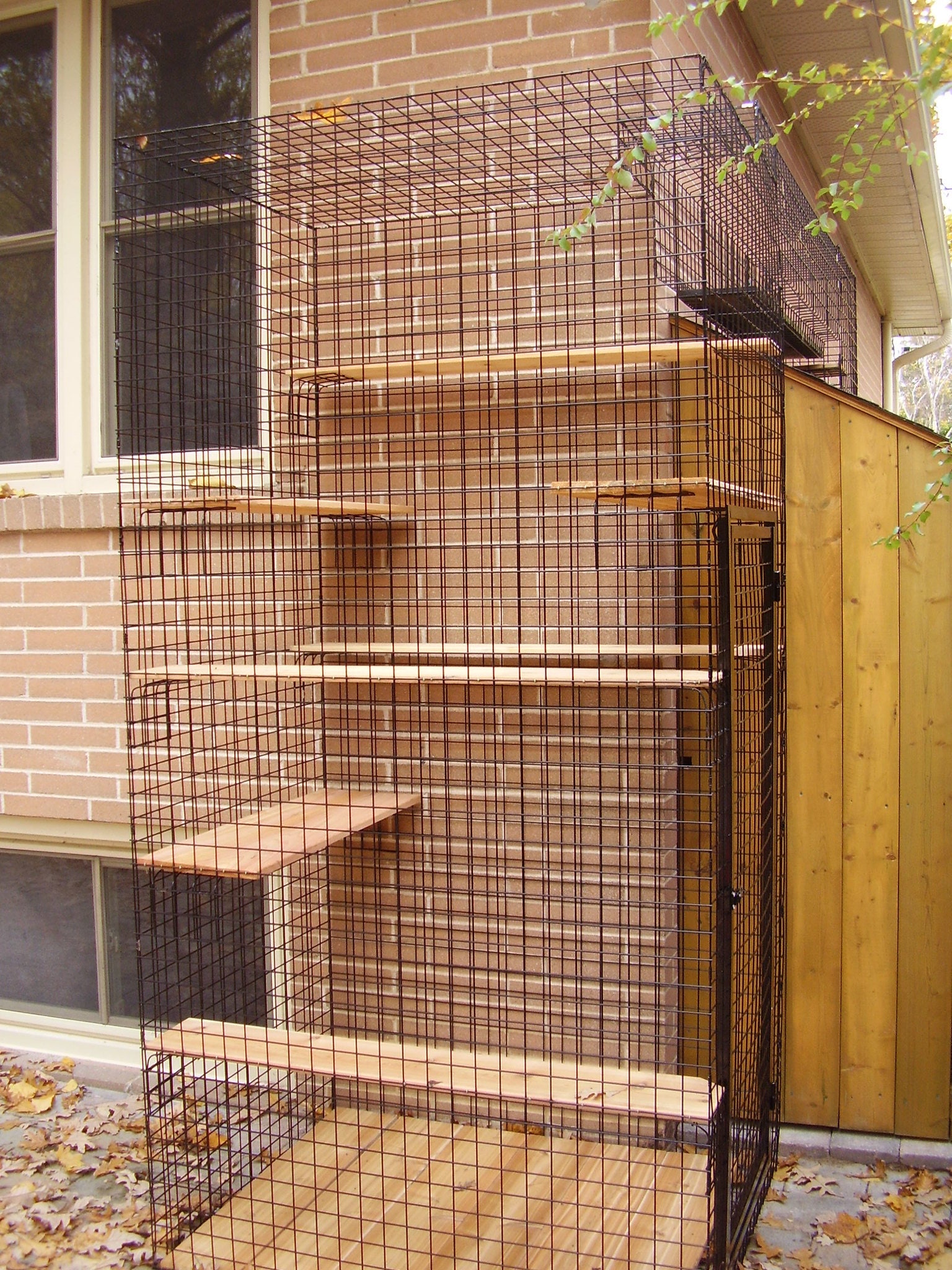 A Room With A View Catio Enclosure by Habitat Haven multiple - Etsy