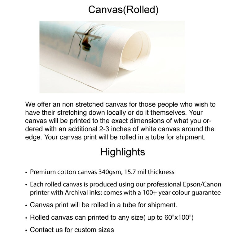 Joker _16-PETER DRIBEN ,Giclee Repro Print,Retro Deko Pin-Up,American ...