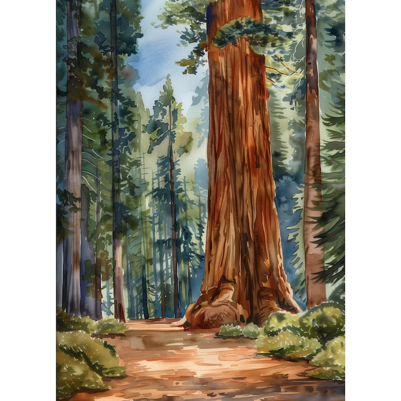 Sequoia Sketch Art Print - Etsy