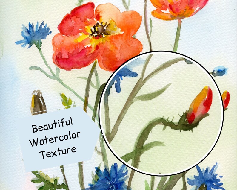 Cornflowers Fine Art Large Print Poppy Painting Watercolor Set 2 Prints ...