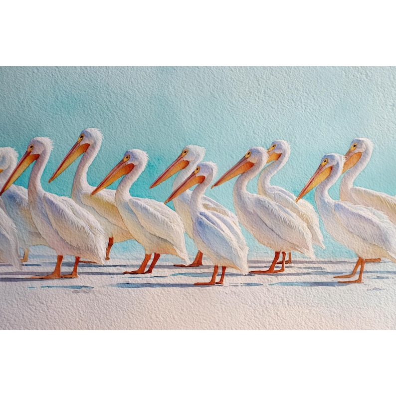 American White Pelican Art Minimalist Bird Painting Print Watercolor - Etsy