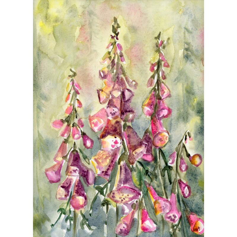 Foxglove Seeds - Etsy