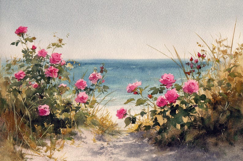 Cape Cod Art Path Beach Rose Painting Print Watercolor - Etsy