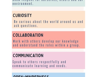 High School or Middle School Classroom Rules/expectations Poster 24x36 ...