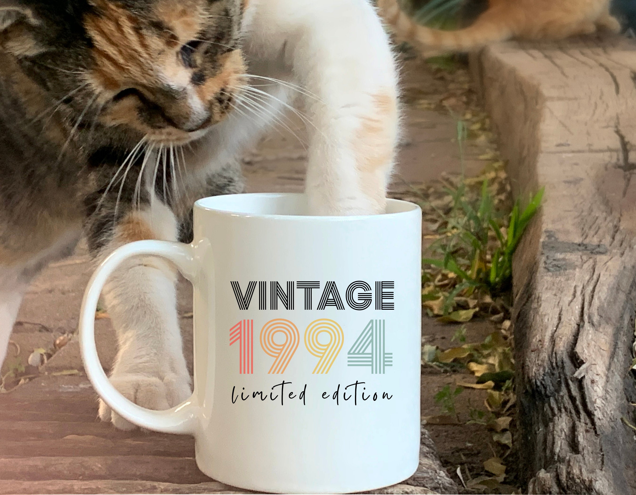 1994 Birthday SVG, 30th Birthday SVG, Vintage 1994 Limited Edition SVG ...