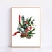 Christmas Holly Print, Holly Berry Leaves Print, Christmas Bouquet ...