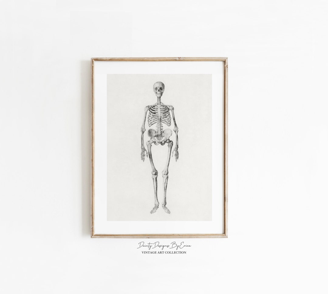 Vintage Skeleton Print, Halloween Skeleton Print, Spooky Wall Art ...