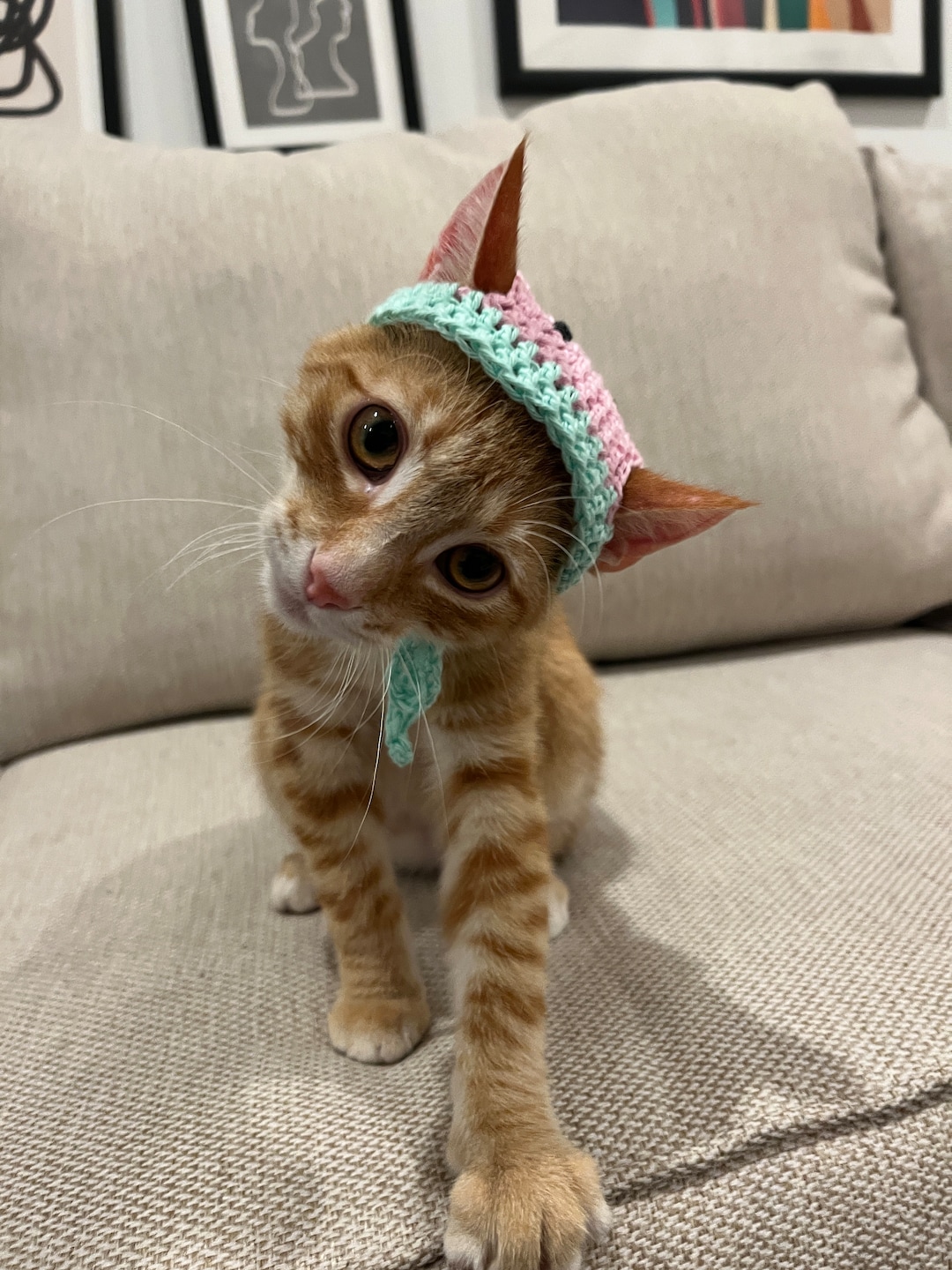 Cat Hat, Cat Costume, Fruit Cat Hats - Etsy