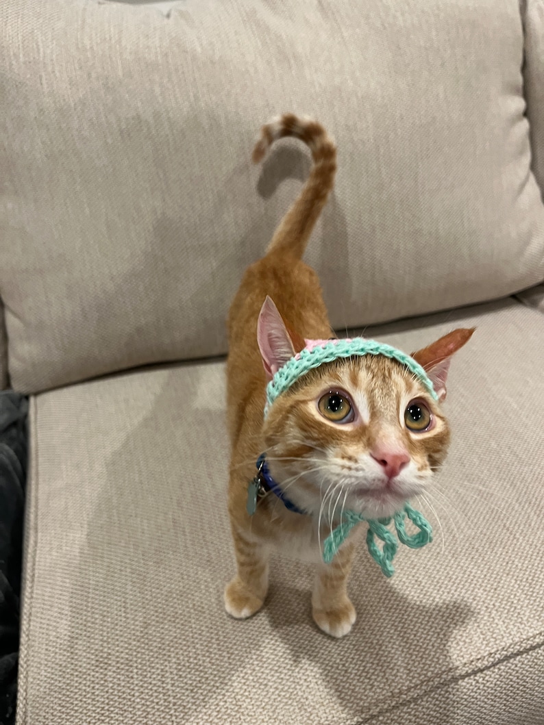 Cat Hat, Cat Costume, Fruit Cat Hats - Etsy