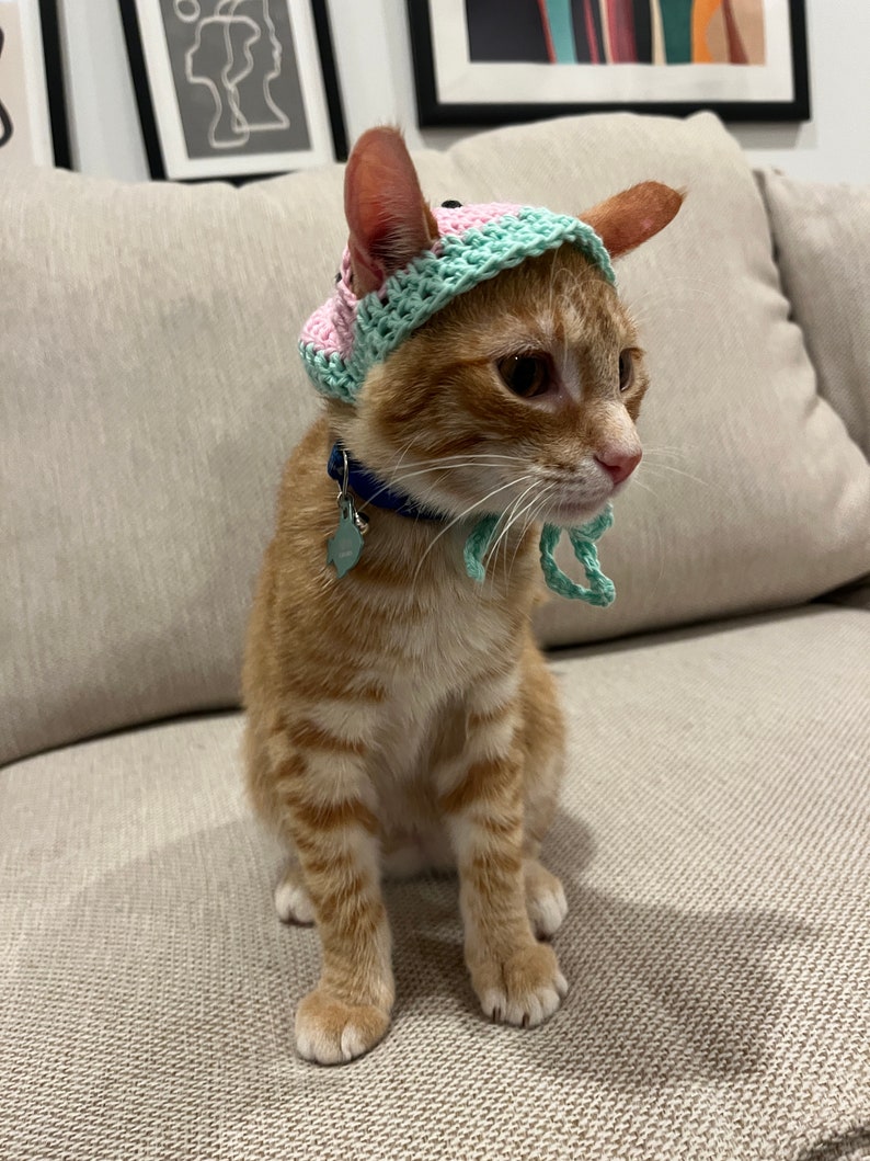 Cat Hat, Cat Costume, Fruit Cat Hats - Etsy