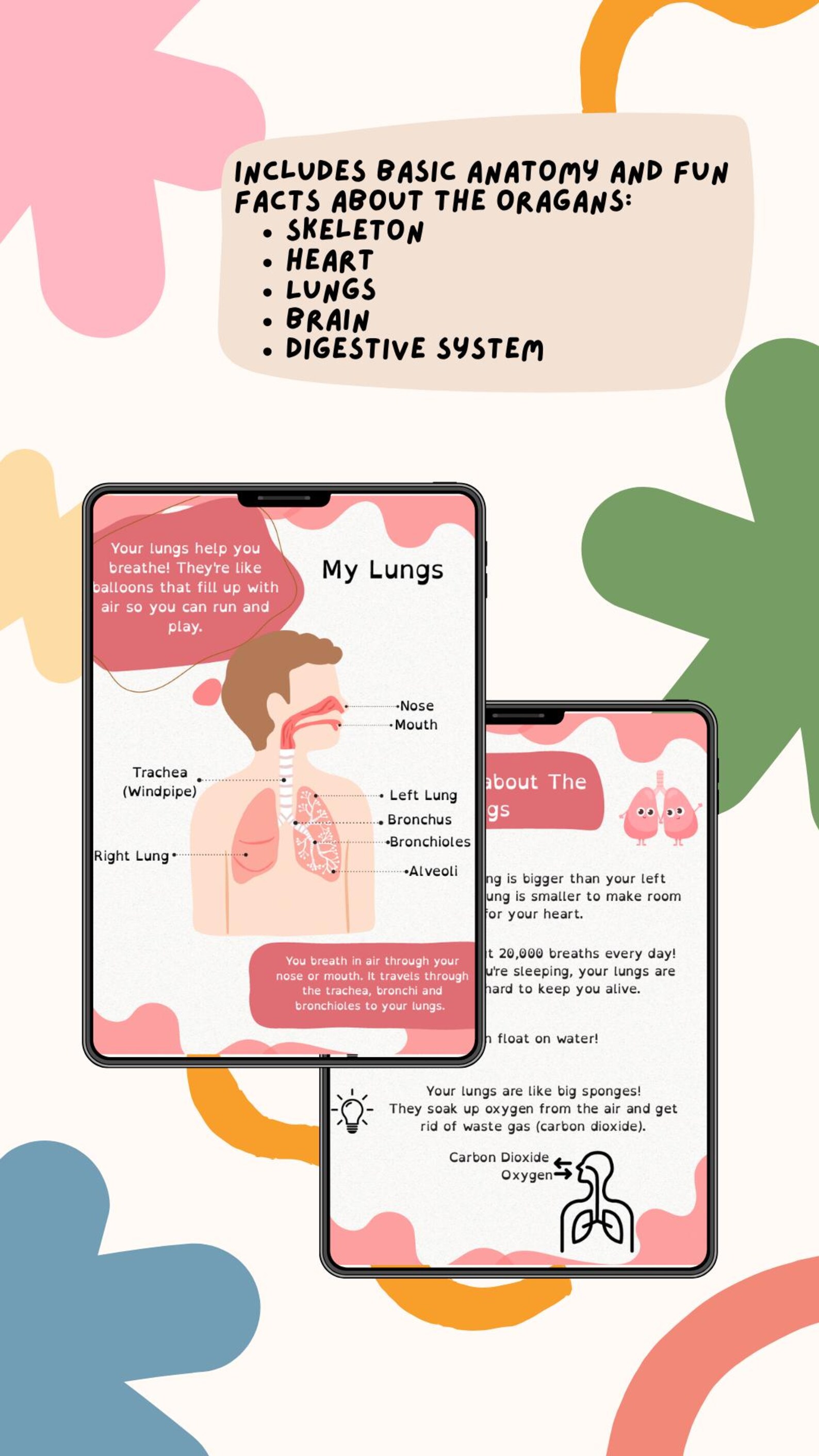 Children Science Book Printable Anatomy Book for Kids,educational ...