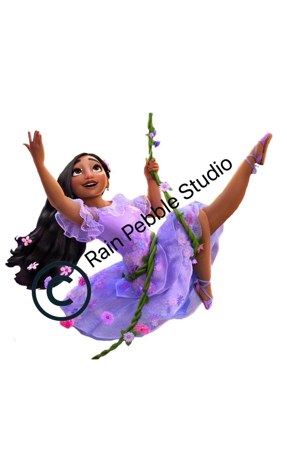 Encanto Isabela Madrigal Mirabel And Friends T Shirt Transfer Etsy