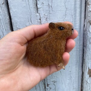 Realistic Capybara Pin Needle Felted Capybara Replica Brooch for Women ...