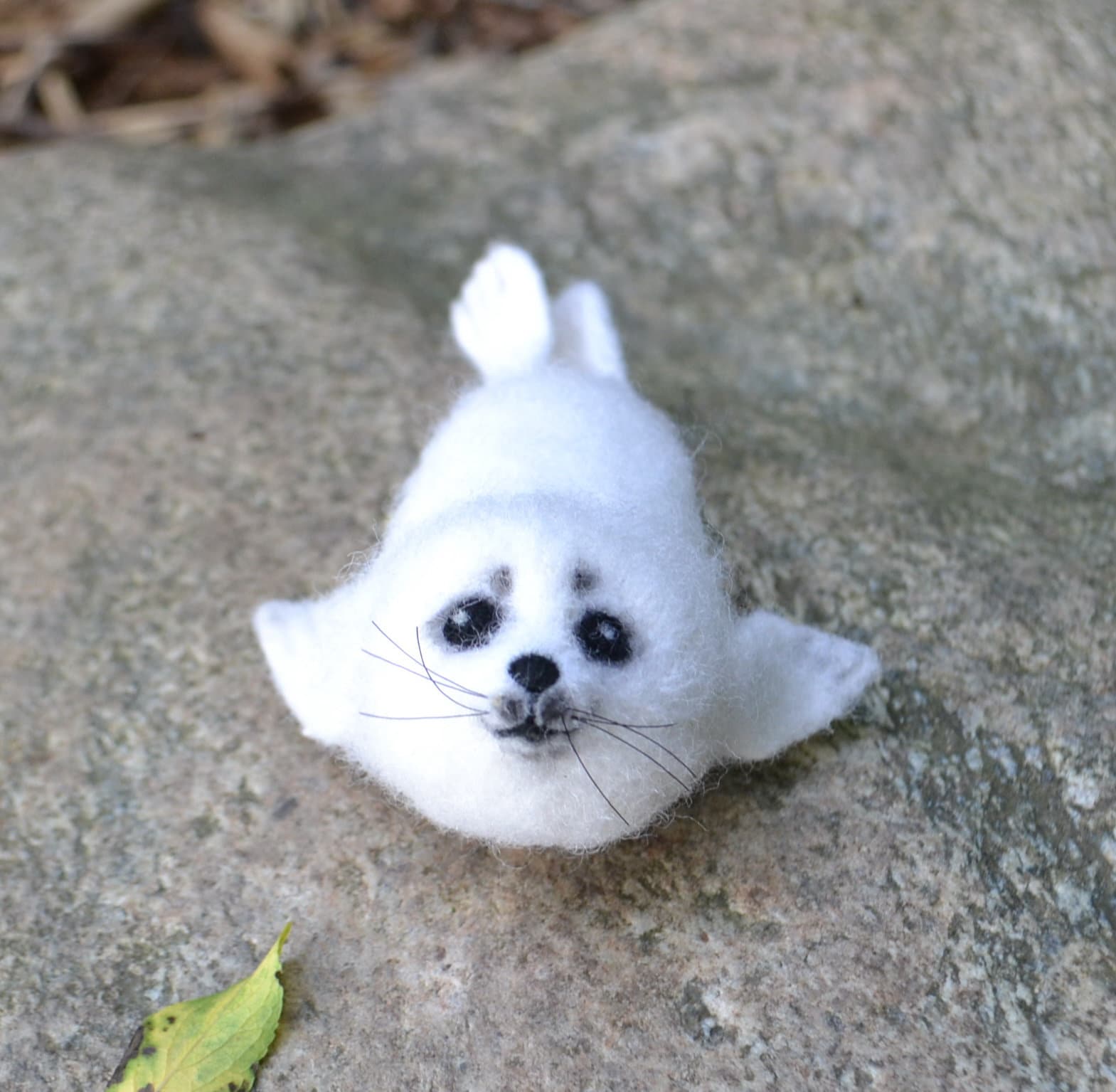 Baby Cute Seal Animal