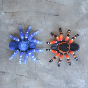 Handmade Blue Tarantula Spider Realistic Brooch Needle Felted Realistic ...