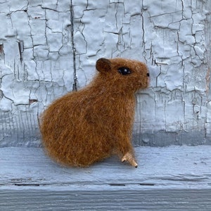 Realistic Capybara Pin Needle Felted Capybara Replica Brooch for Women ...